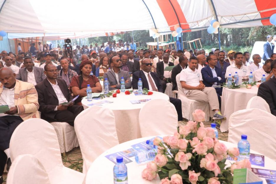 Gallery – South Spring Water