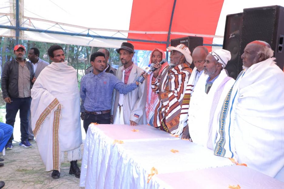 Gallery – South Spring Water